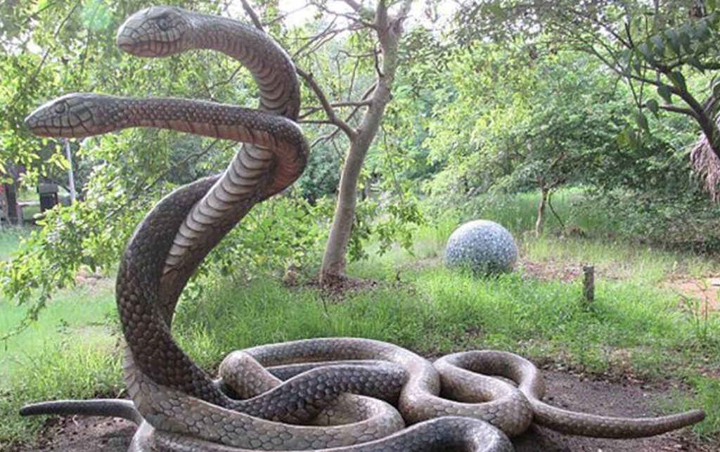 Chennai Snake Park