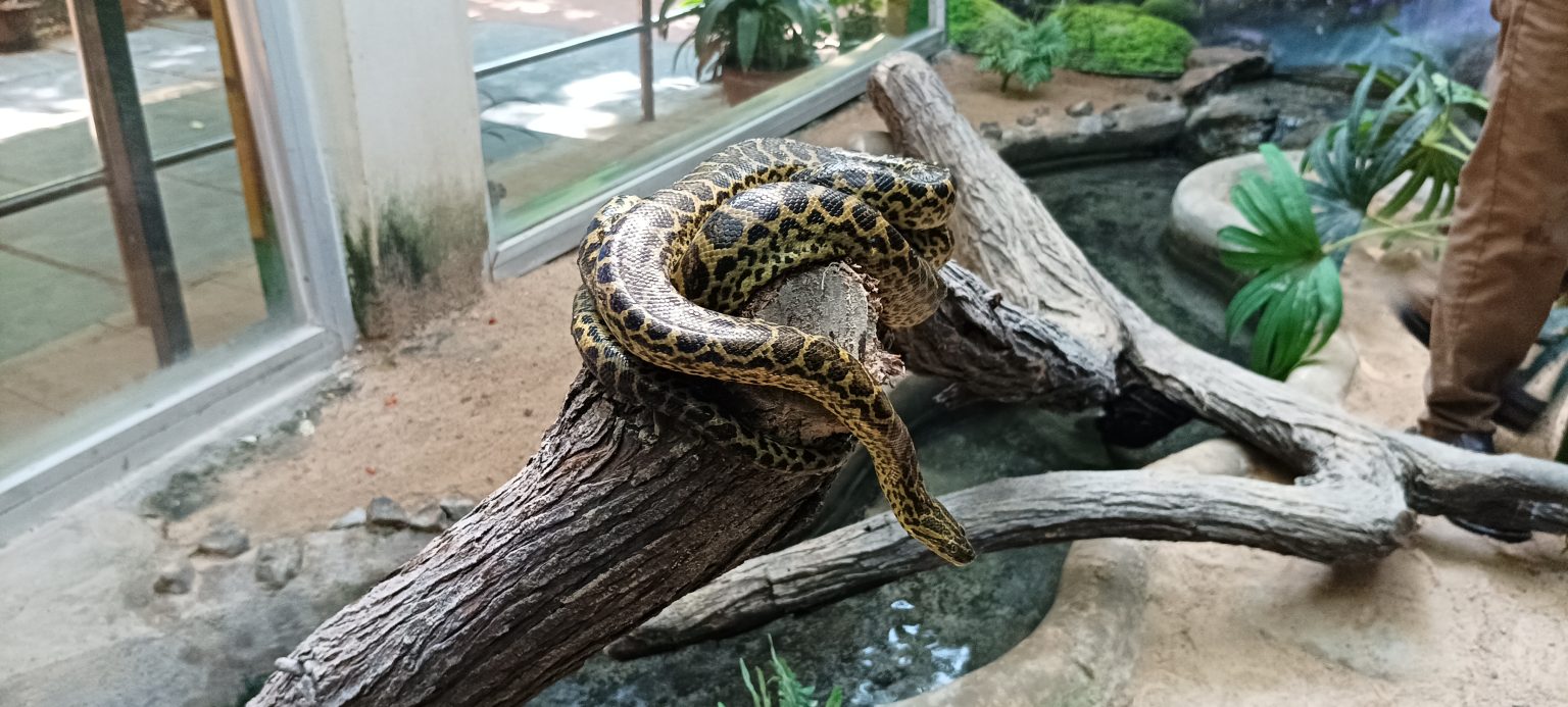 Visitor’s Corner – Chennai Snake Park